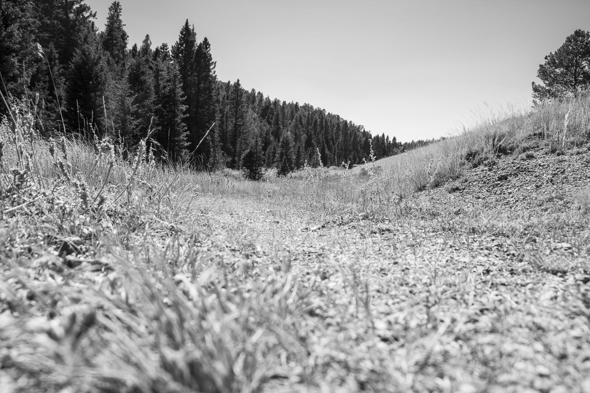 Comparitive Suffering - by Jen - Healing for the Unhealthy