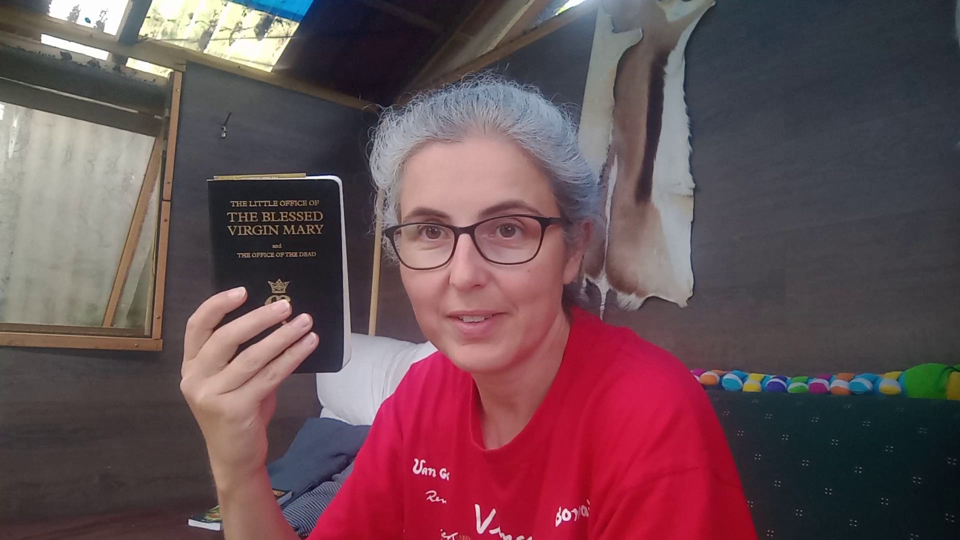 Veronica Brandt | Substack