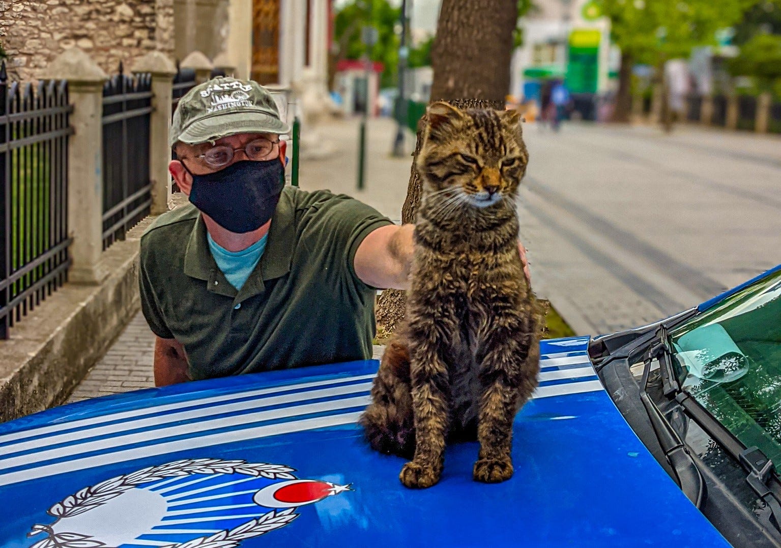The Touching Lesson Behind Istanbul's Love for Its Many -- MANY -- Cats