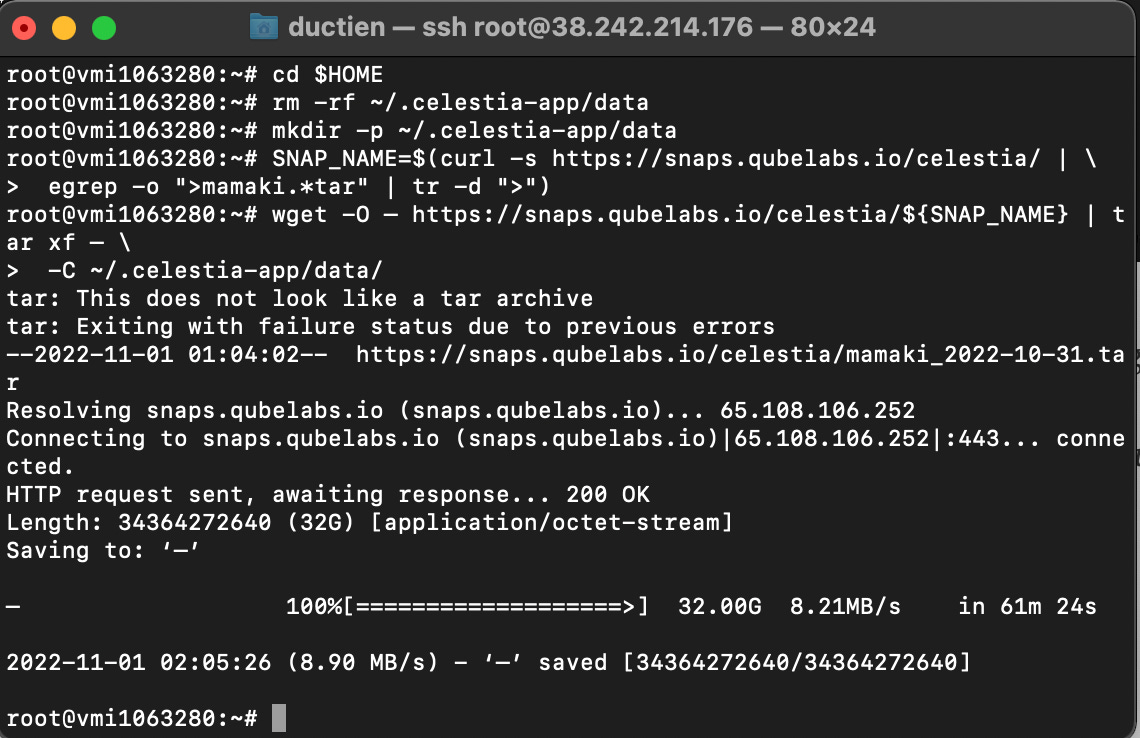How To Run Celestia Node ? Làm cách nào để chạy Node Celestia