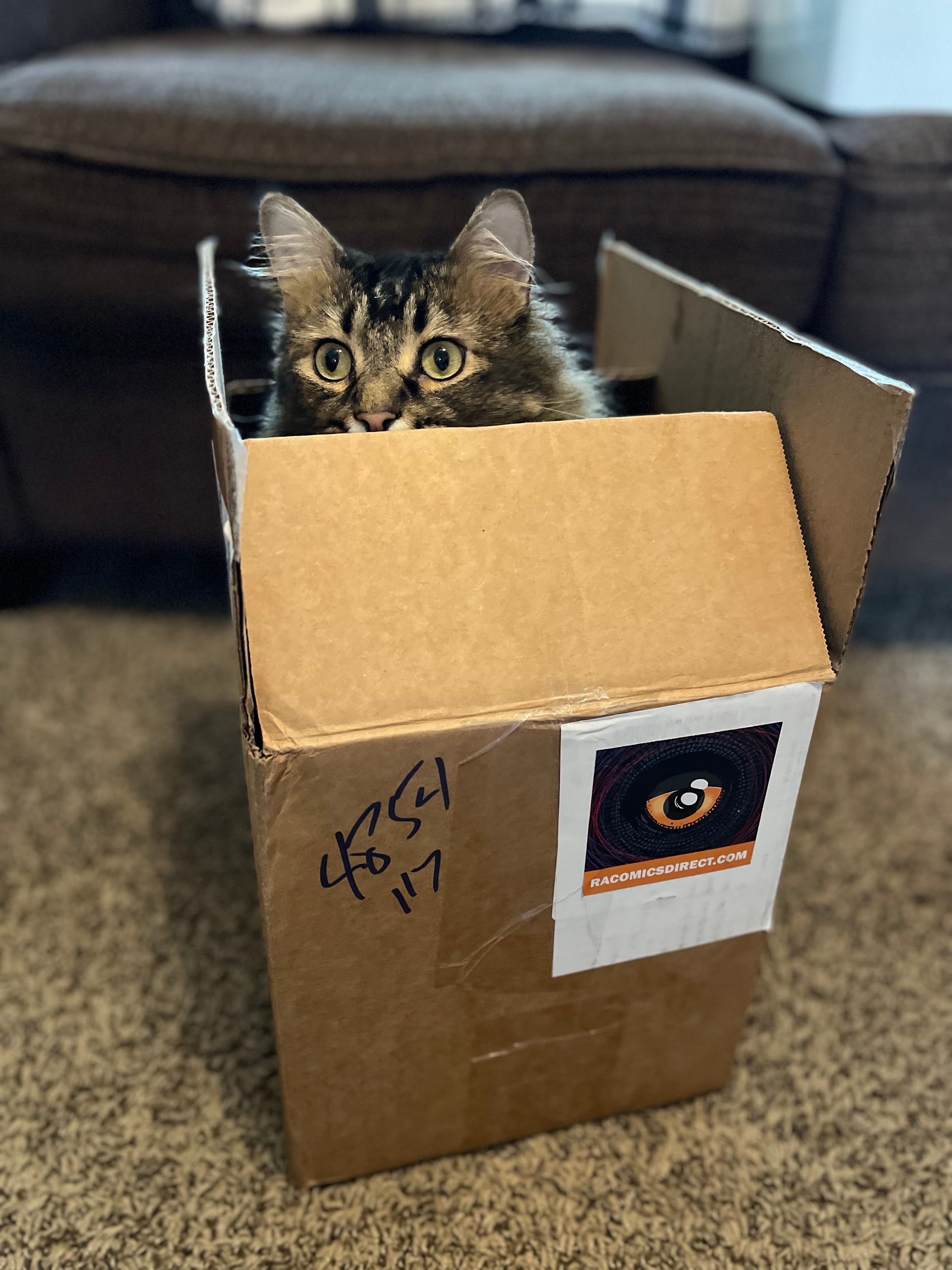 FLUFFY DEBUT - by Jason Colvin - Fluffy Protector