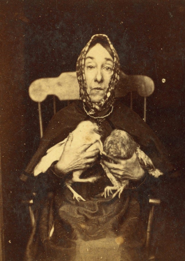 Nancy Luce: A Woman of 1000 Oddities - by Tove Danovich