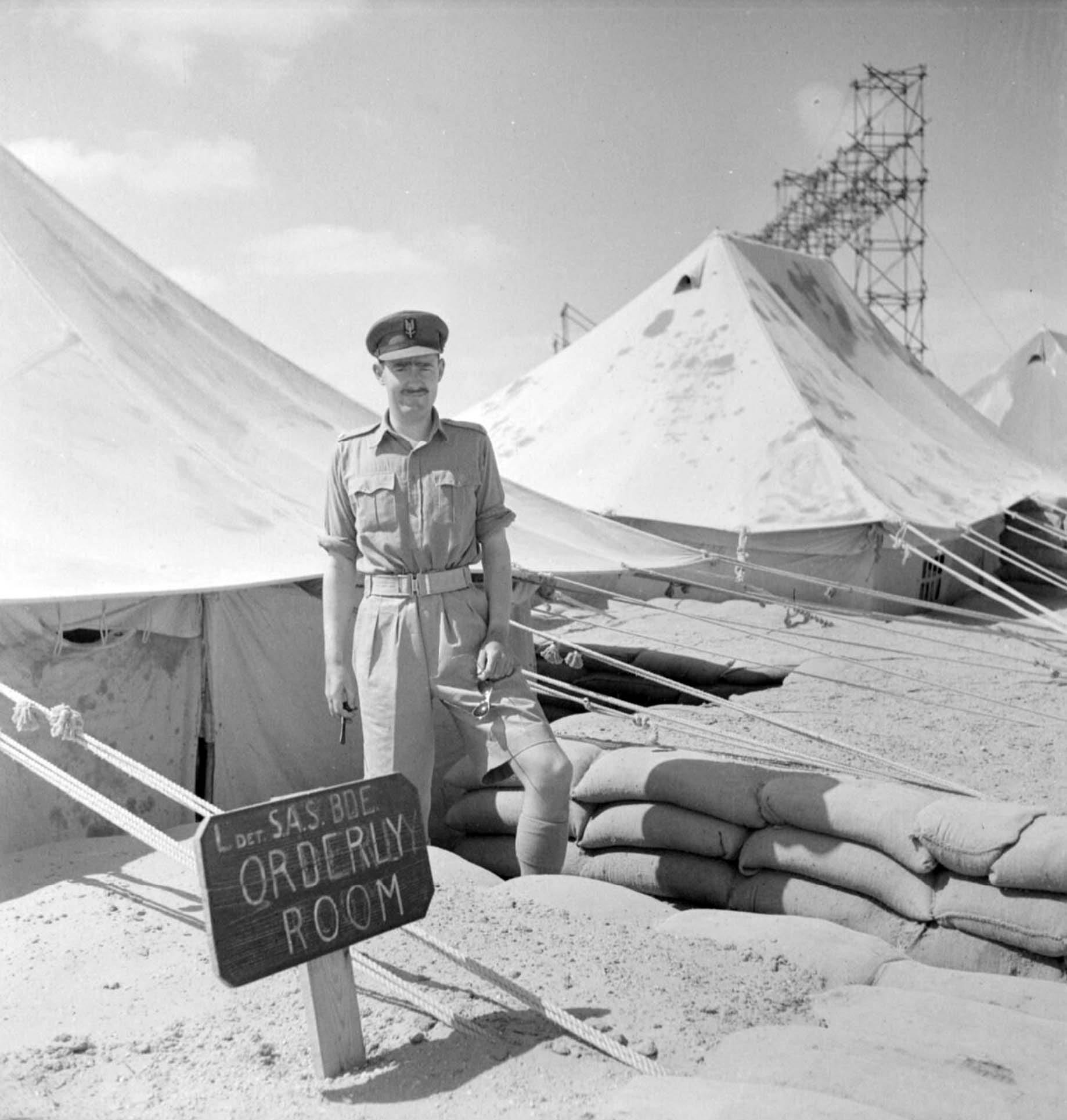 Shock SAS attack on German airfield - by Martin Cherrett
