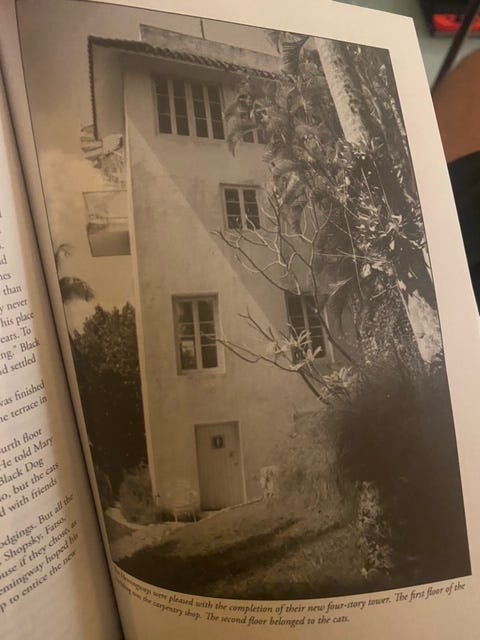 Ernest Hemingway: Macho Cat Dad - by Blaise Lucey