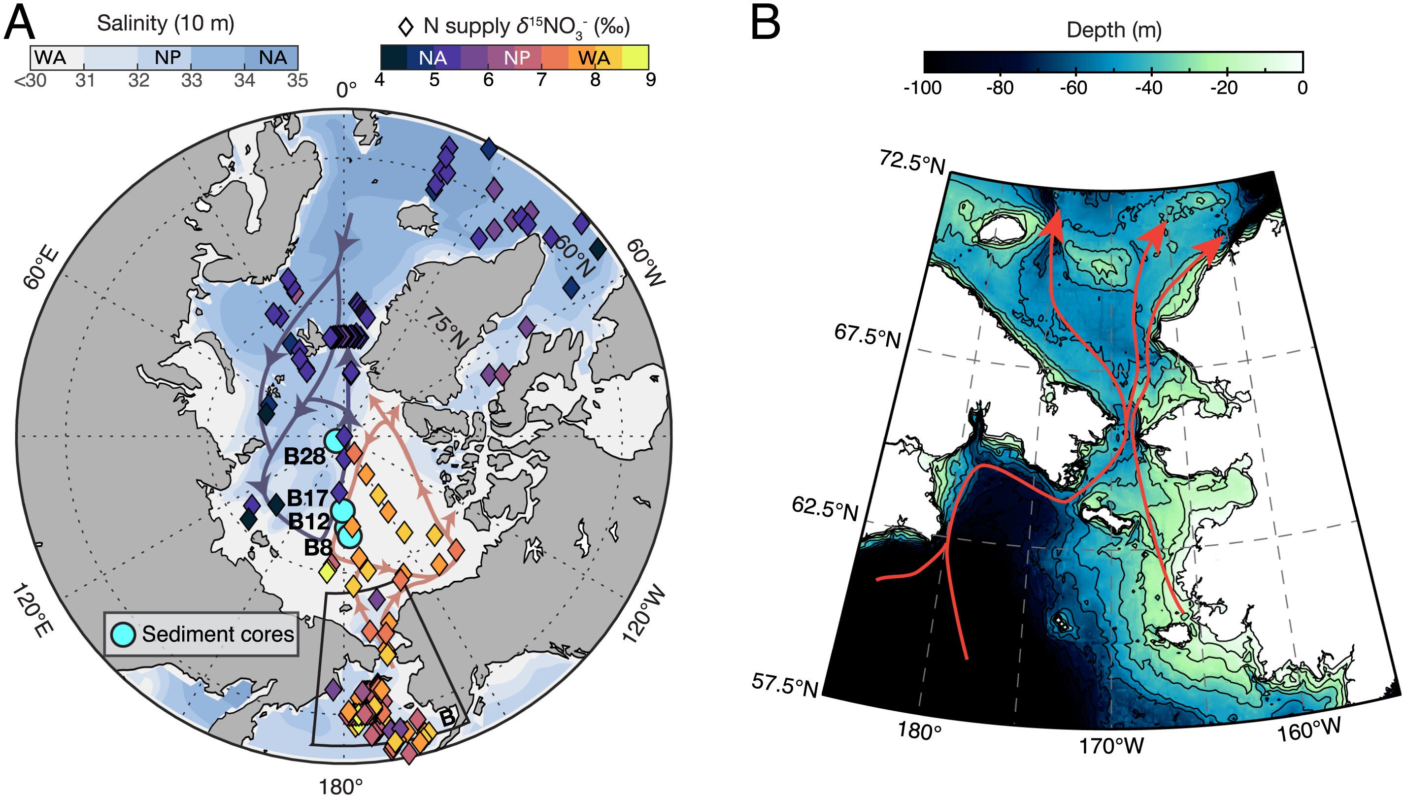 During the Previous Ice Age, the Bering Land Bridge Formed Surprisingly ...