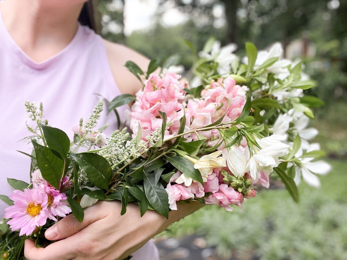 Cate Pomelow | Substack