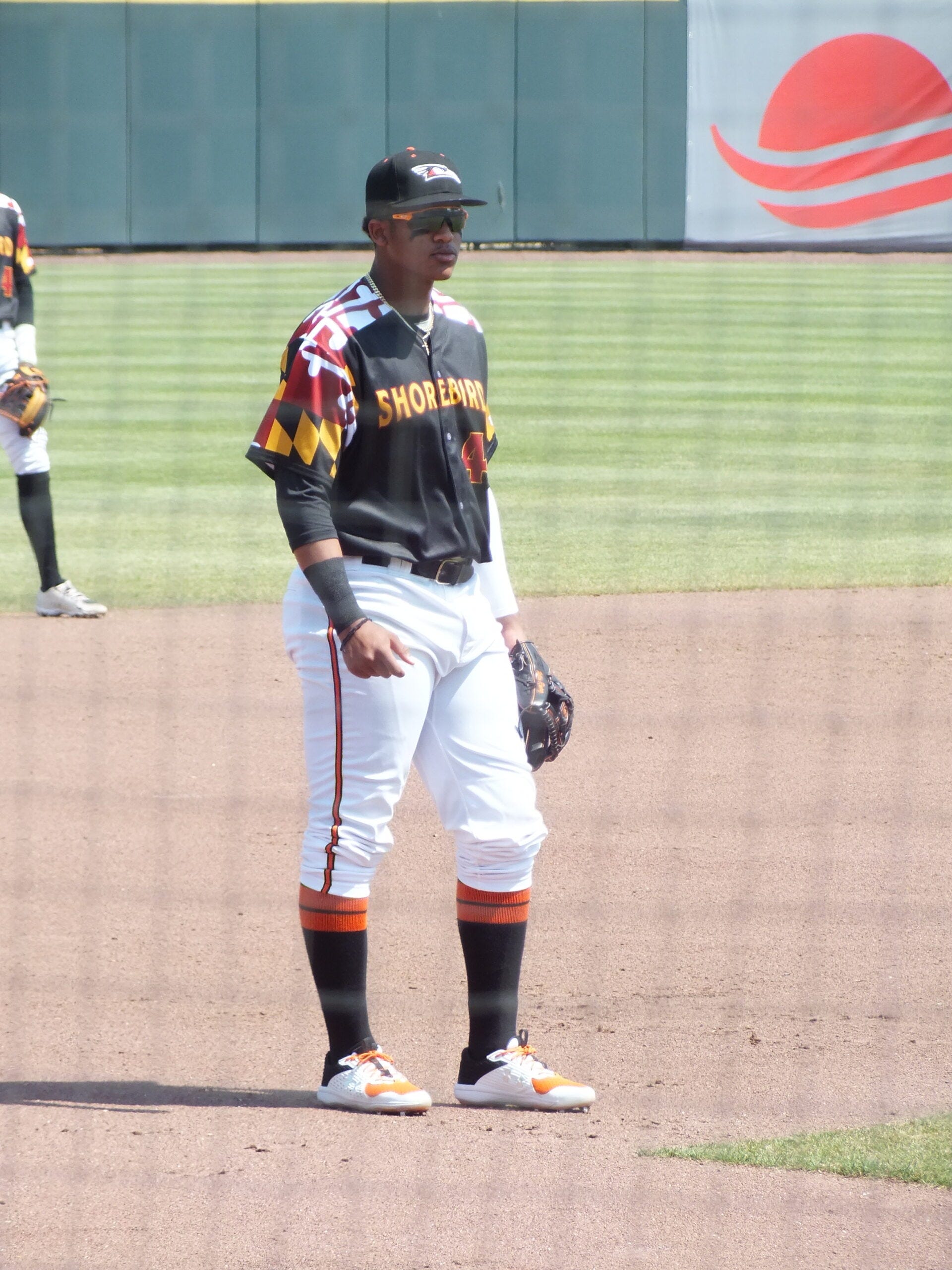 Shorebird of the Year - a 2022 season wrapup