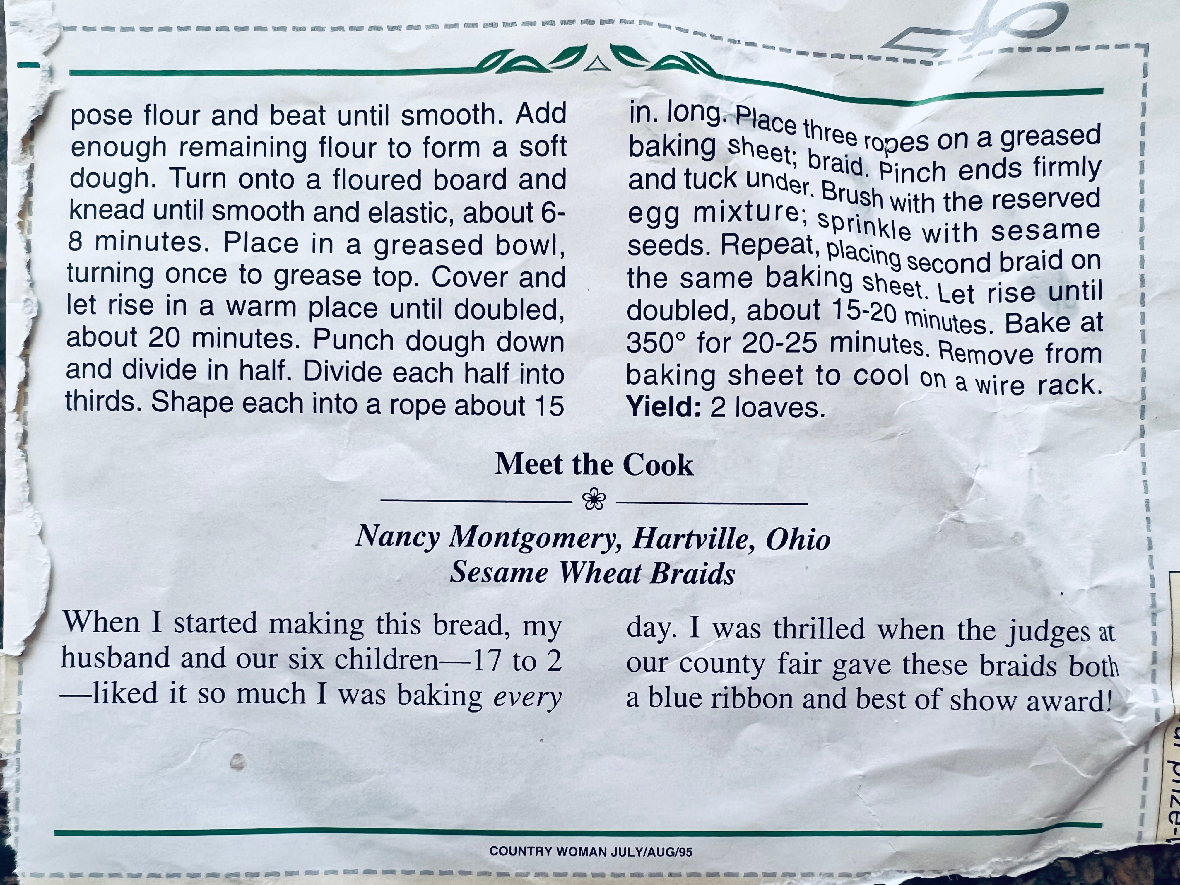 Sesame Wheat Braids - Clippings Club