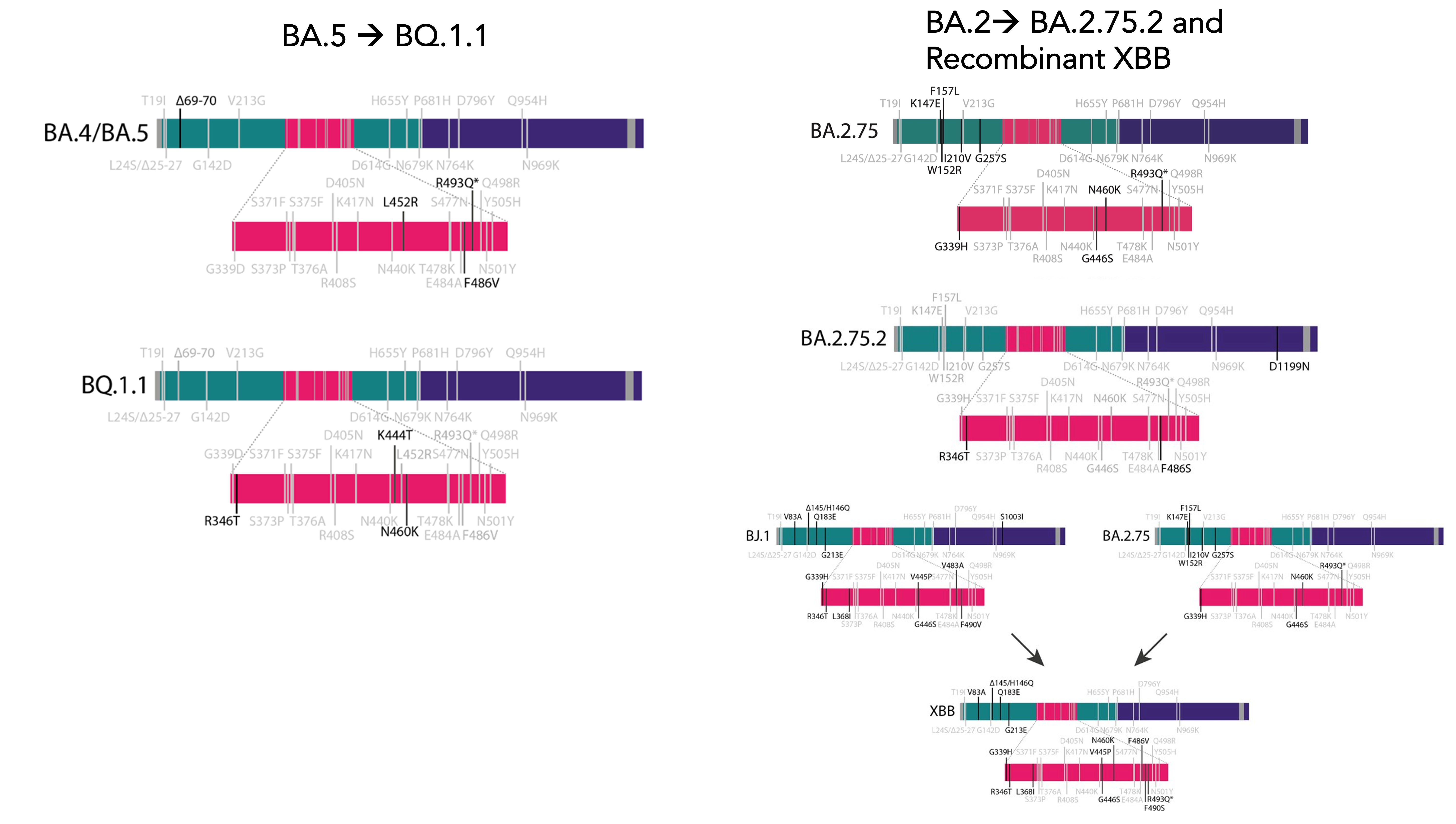 A booster is your best shot now - by Eric Topol