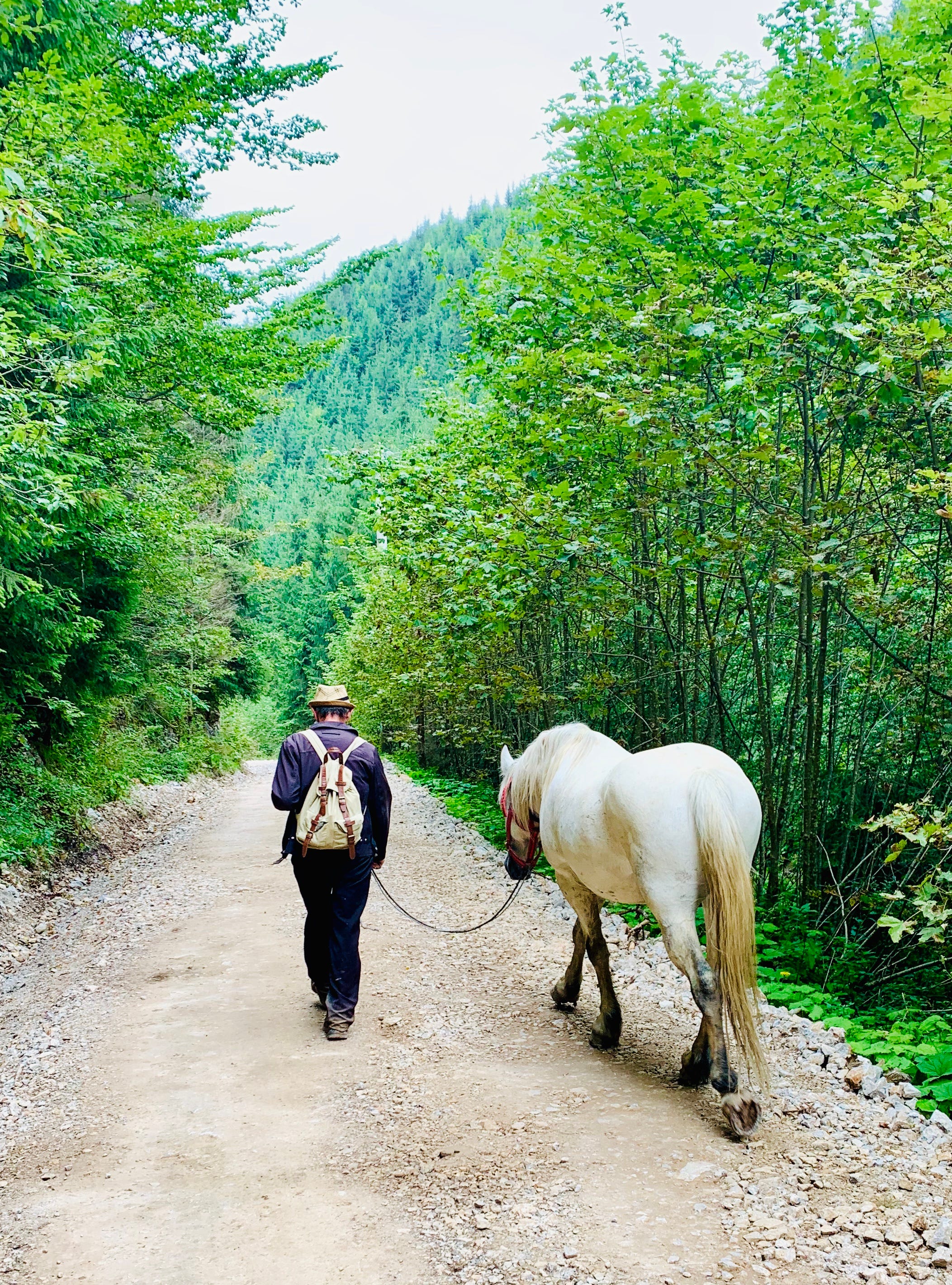 Apuseni National Park - Archipelago