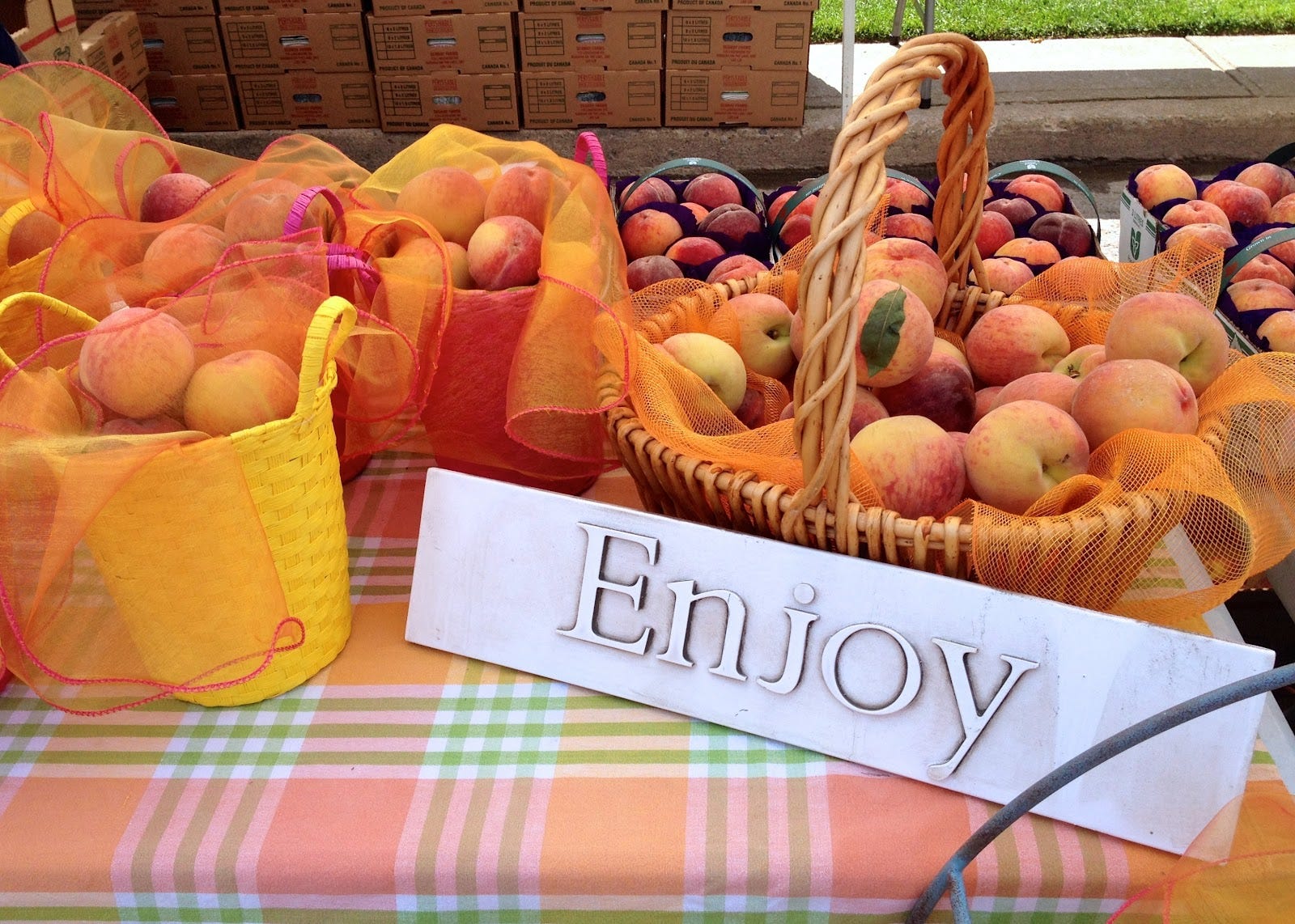 Culture: Food and Plants - by Kim Manley Ort