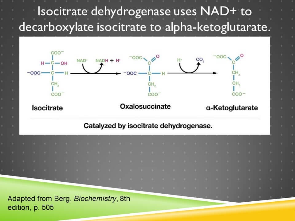 Isocitrate To Alpha Ketoglutarate Mechanism