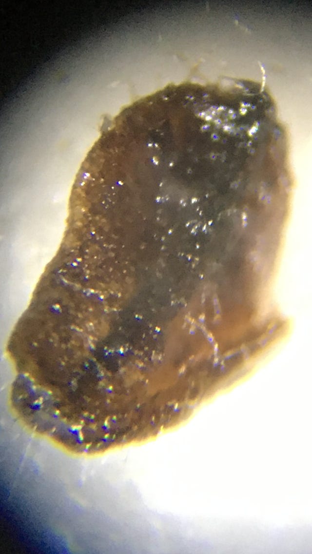 Nanites & the Vaseline Test - by Targeted Justice, Inc.