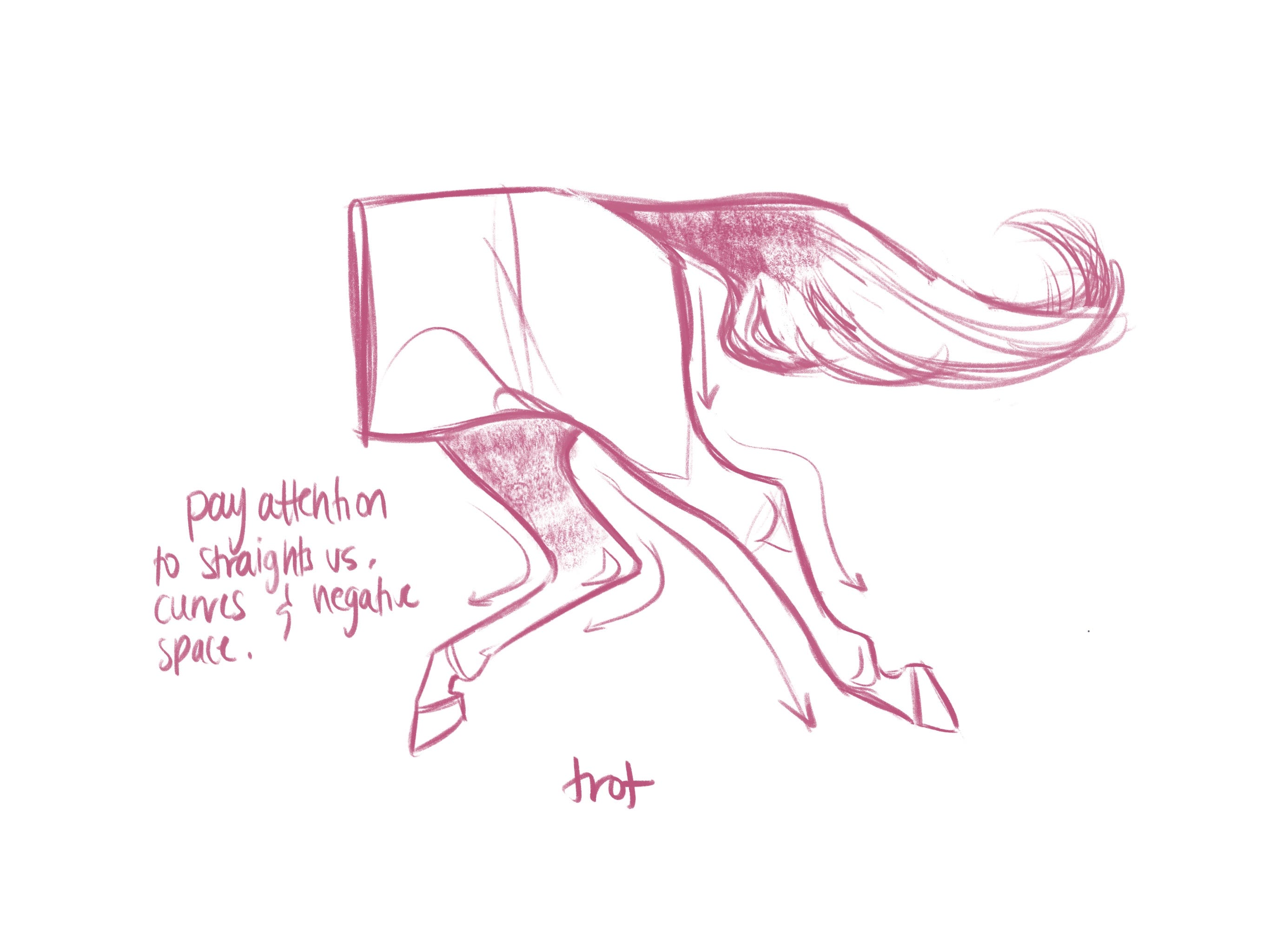 Horse Drawing Notes - Alexandria Neonakis' Sketchbook