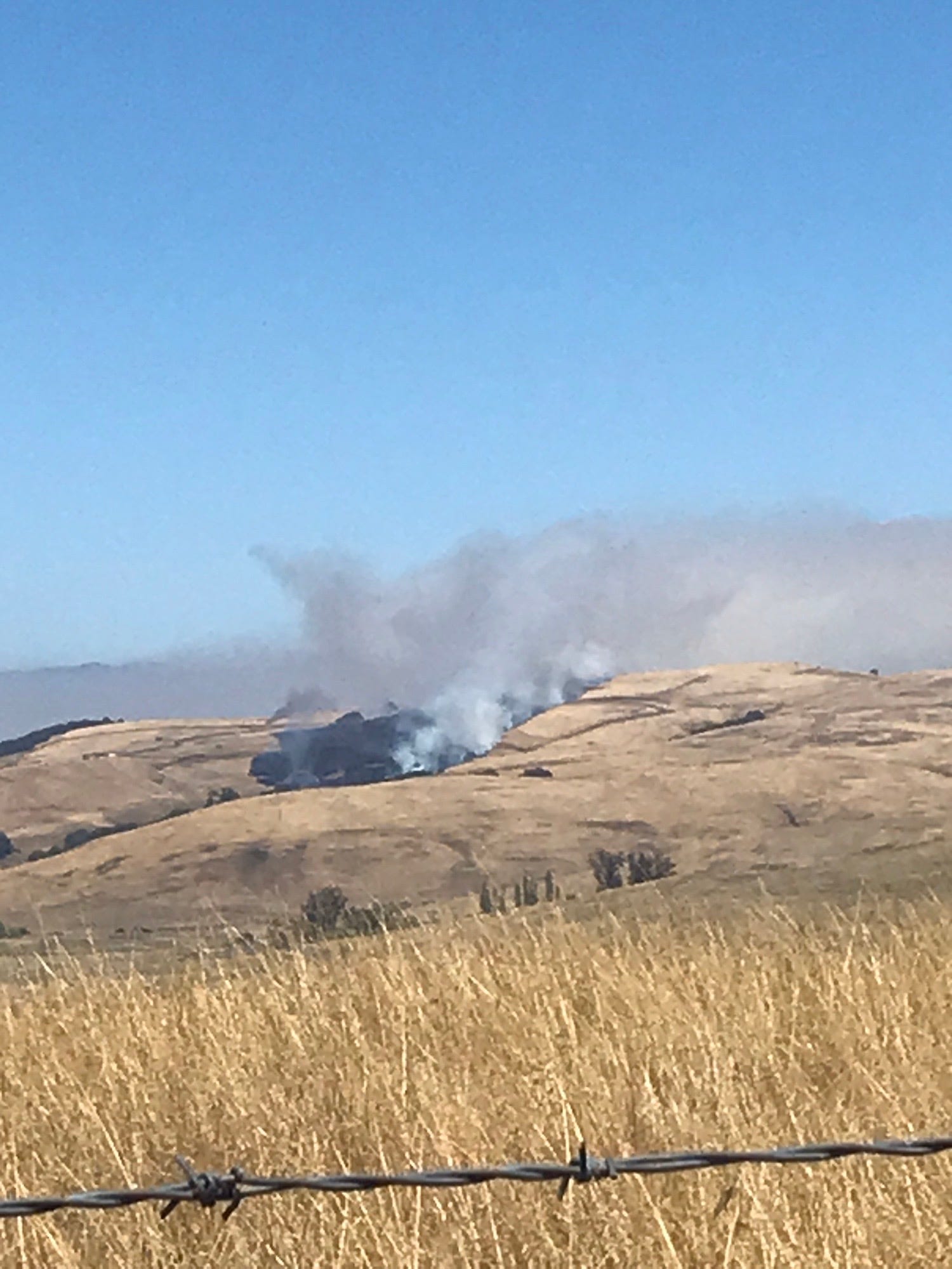 Watch Duty for Fire Season - by Dale Dougherty