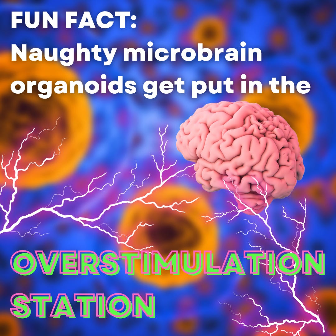 Two poems about Synaesthesia