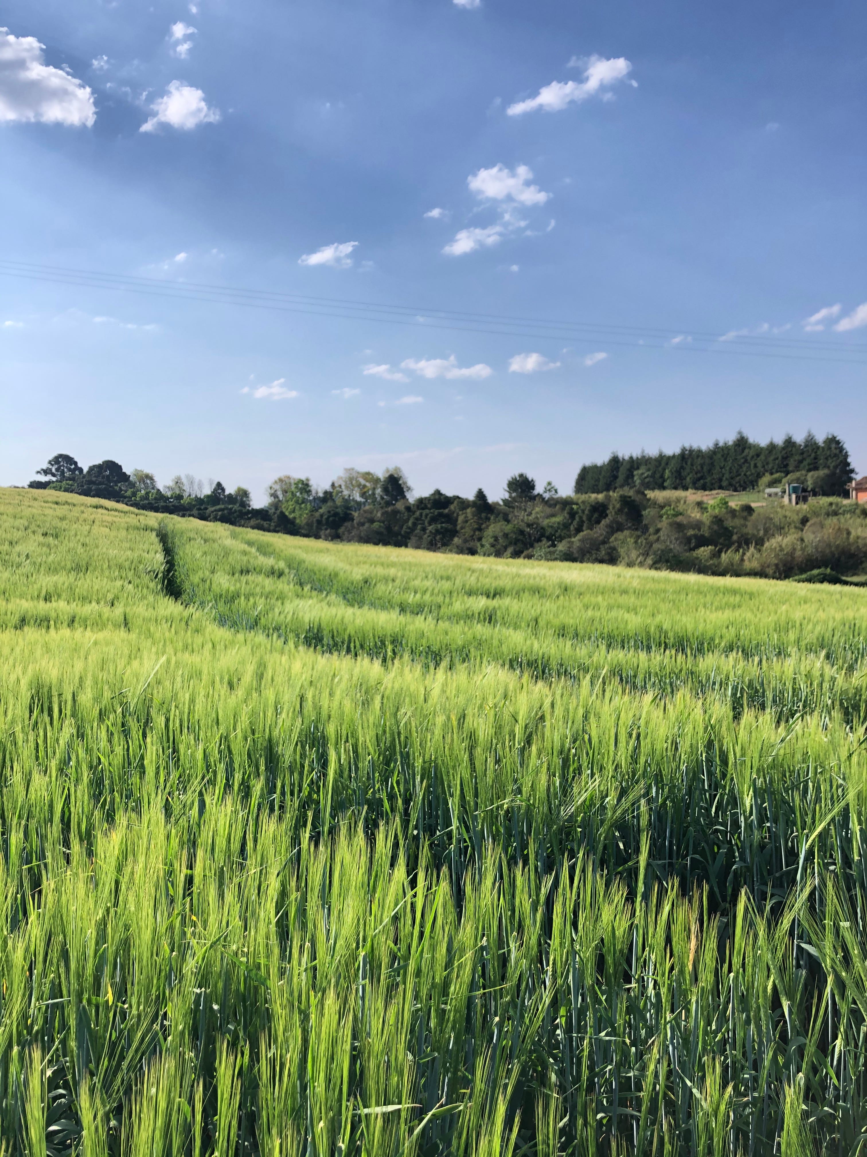 Sinto, logo existo - by Fer Michalski - Miudezas