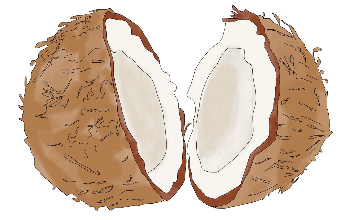 Breaking Coconuts - Feminist Food Journal