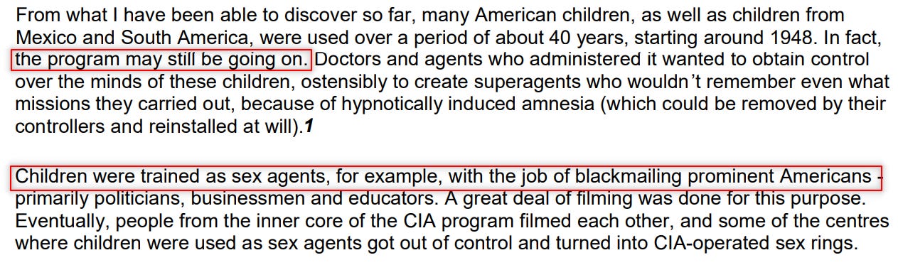 Shoot First, Think Never [Part 2] - The Good Citizen