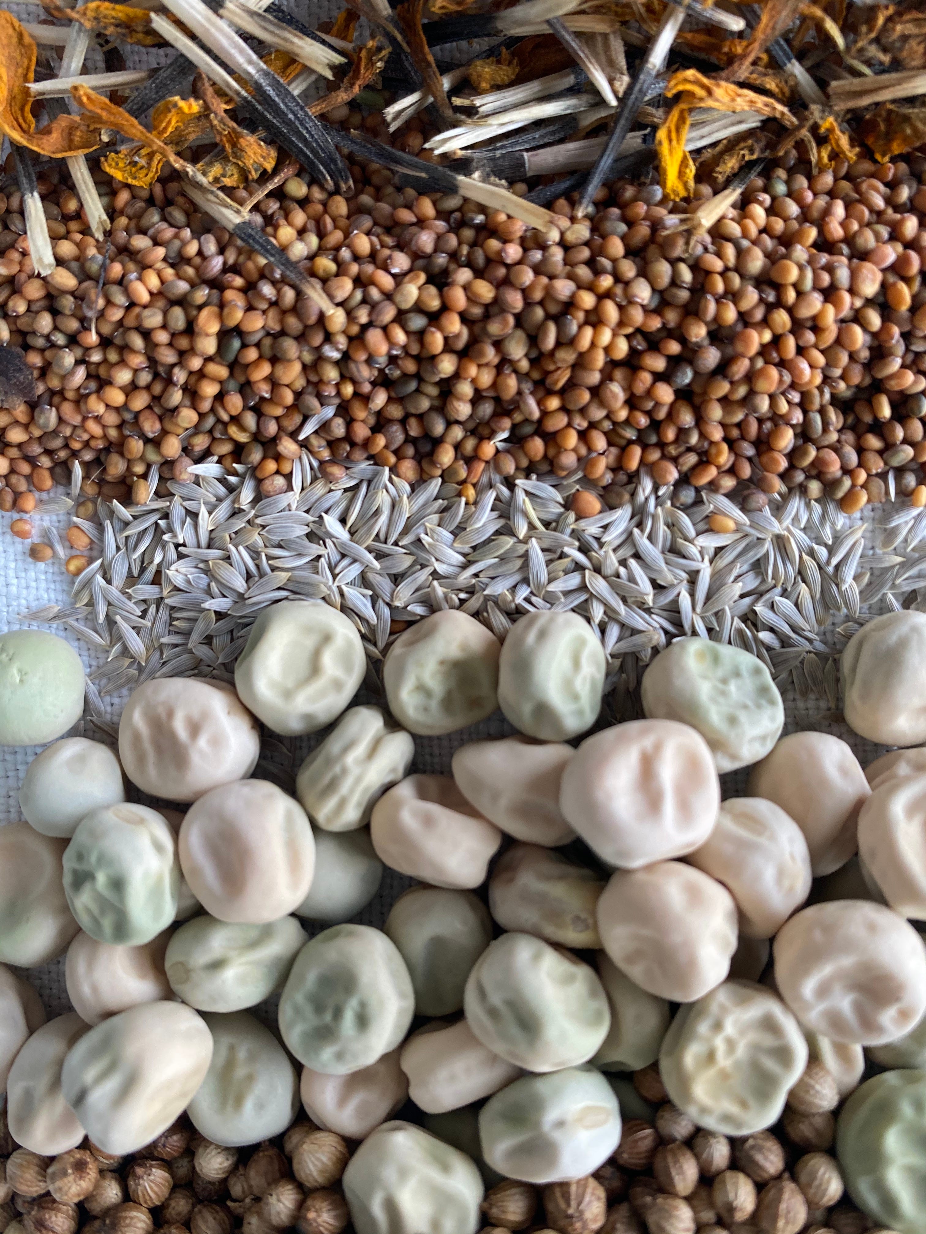 How to Get Planting, Sow Seeds, and Maximize Garden Space