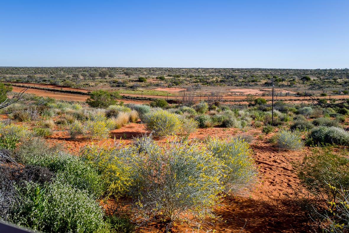 Cameron's Corner, Innamincka, and Eromanga - by Marleen