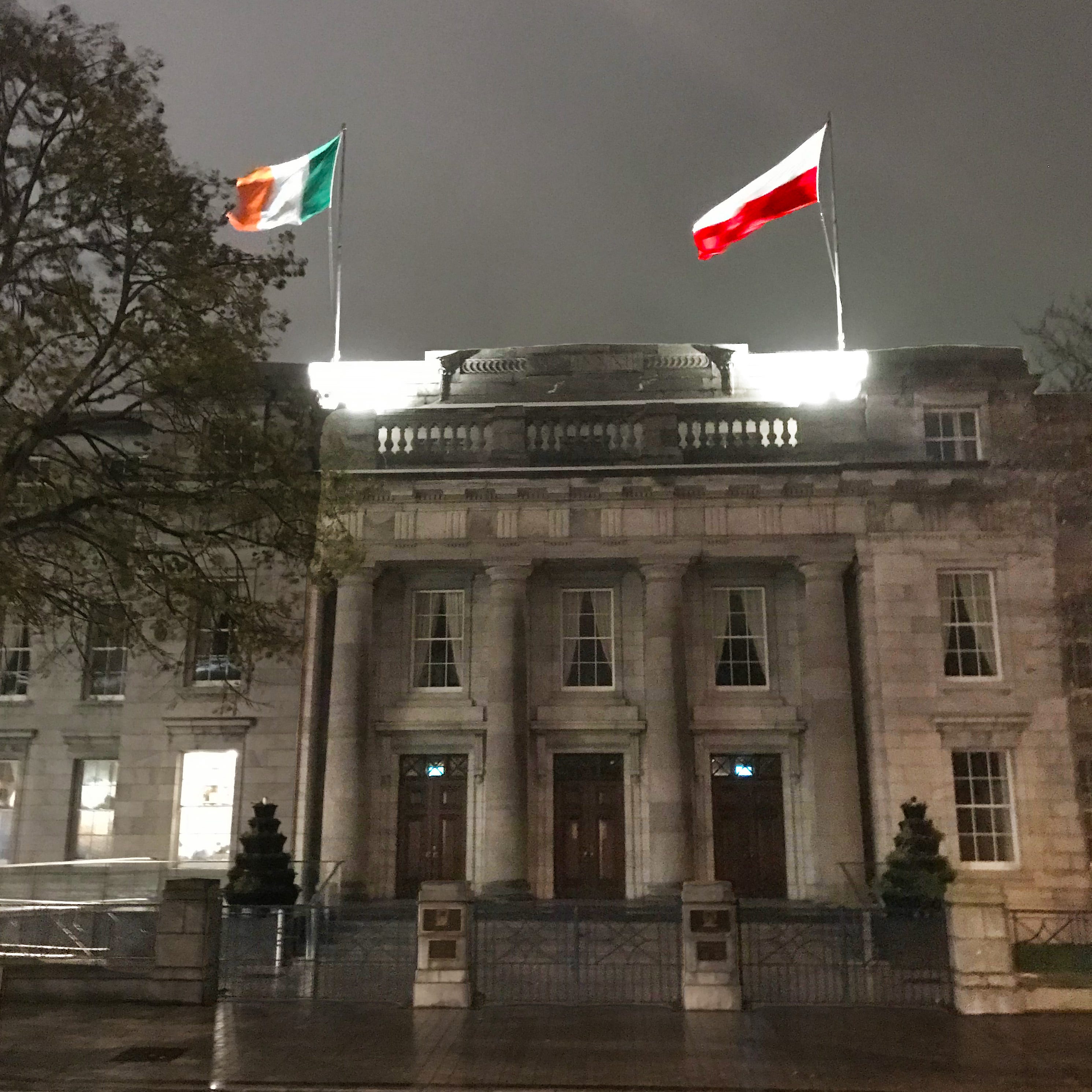 The Friday View 11/11 - by Ellie O'Byrne - Tripe + Drisheen