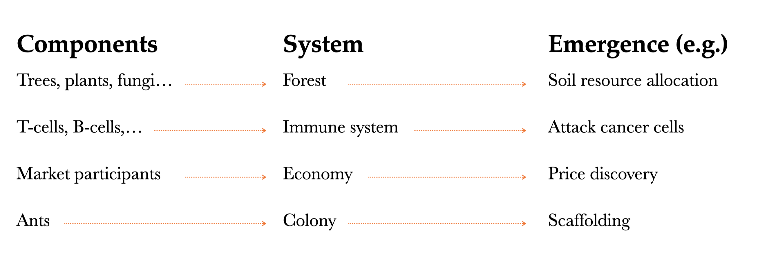 S01E05 Recognizing complexity - by Christophe Rosseel