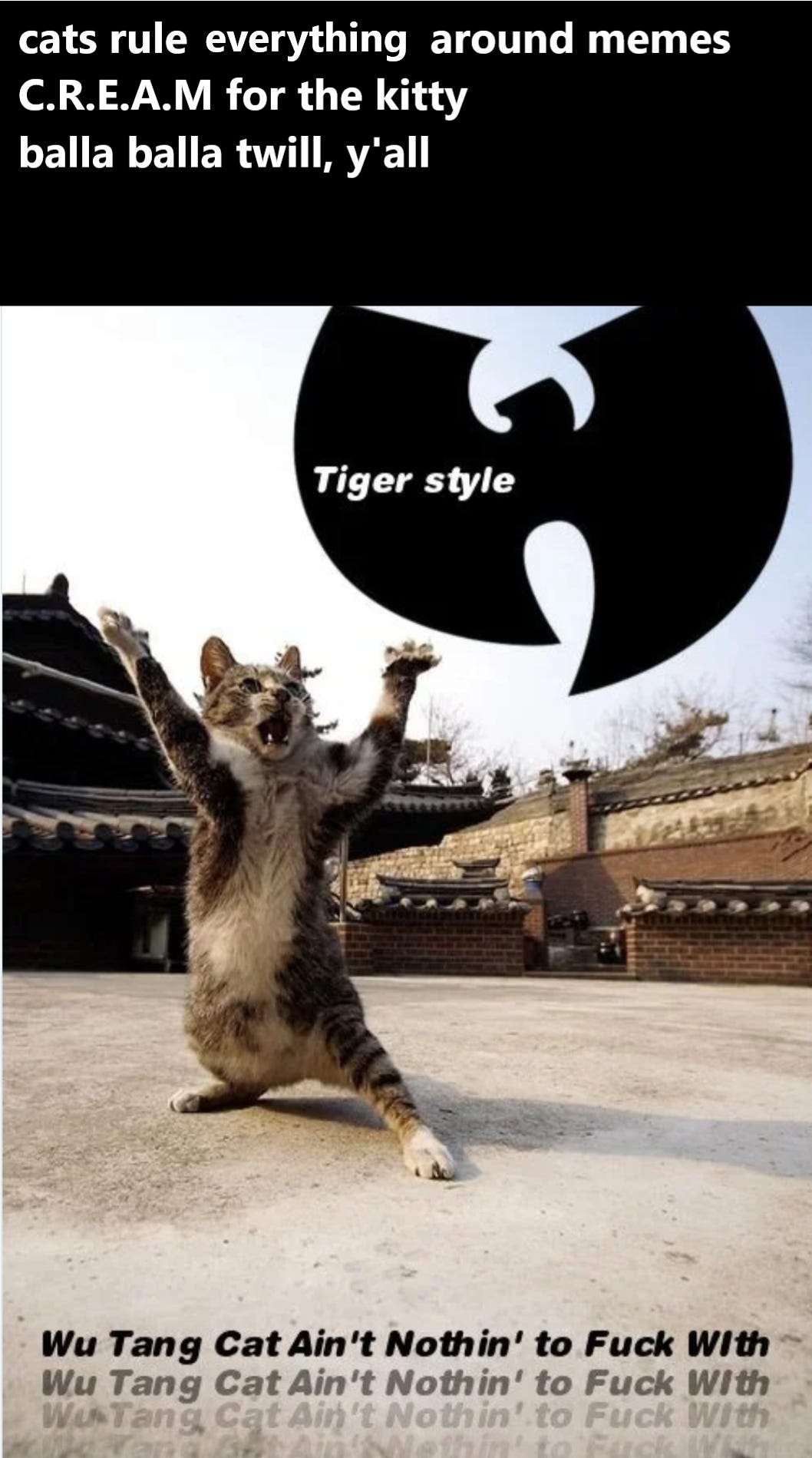 year of the tiger. CREAM: cats rule everything around memes