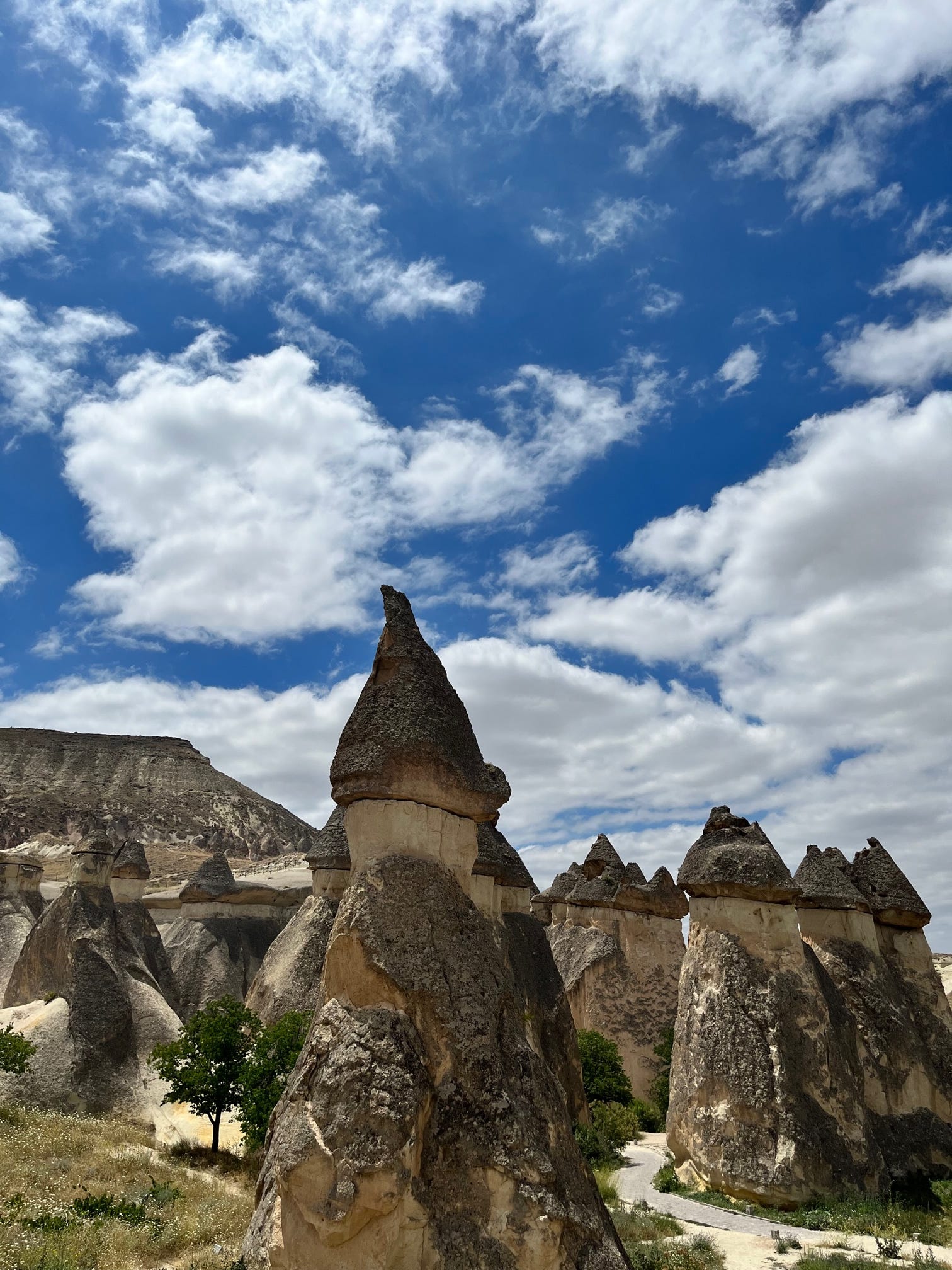 Greetings from Turkey & Cyprus🦃🇨🇾 - by Noah Belkin