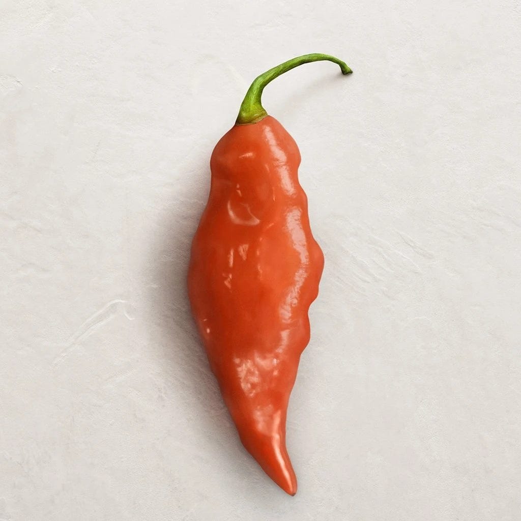 The Habanada Pepper Edition - by Guest Contributor
