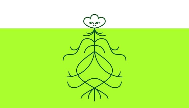 Exploring Decentralized Social Media - Token Dispatch