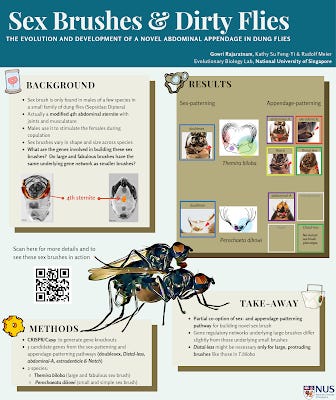 Critique: Dirty, dirty flies - by Zen Faulkes