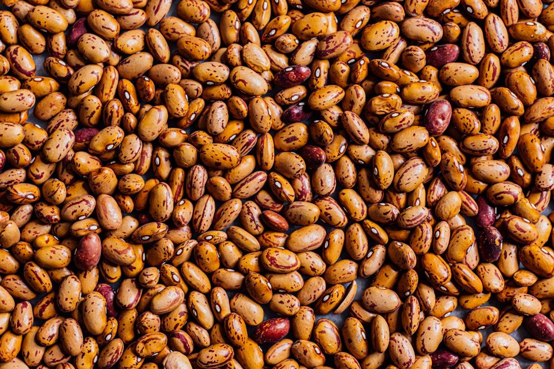 Bean Science Part I - by Nik Sharma - The Flavor Files