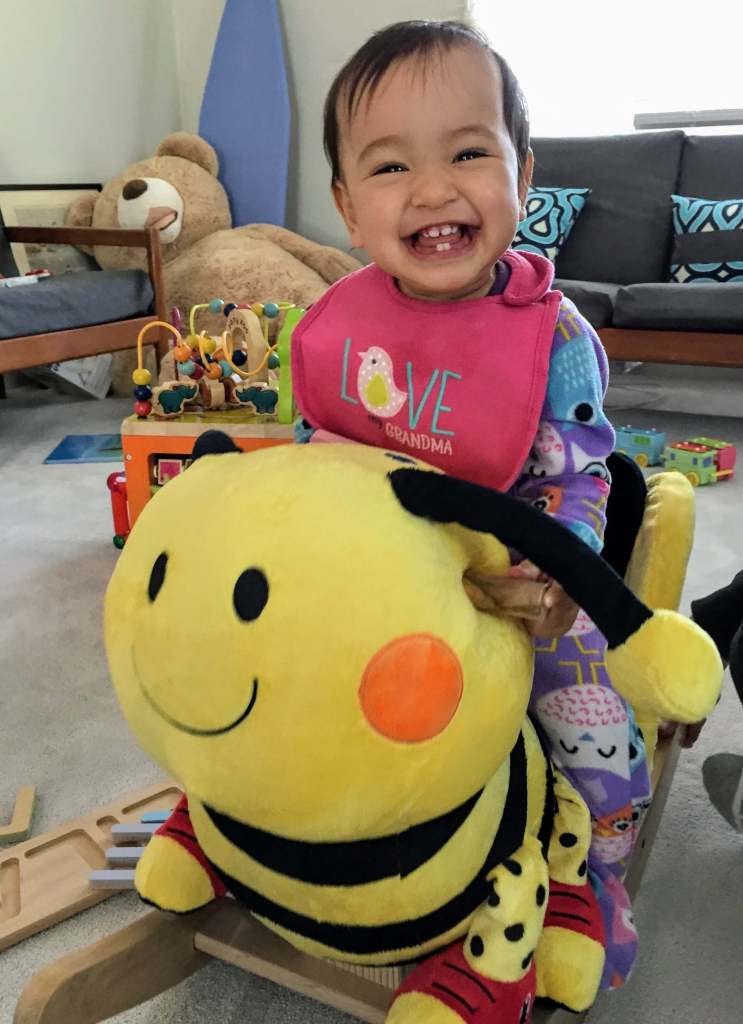 These small griefs - Beagle Voyage with Jane Liaw