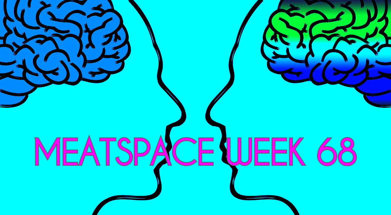 Project Voldy - Meatspace