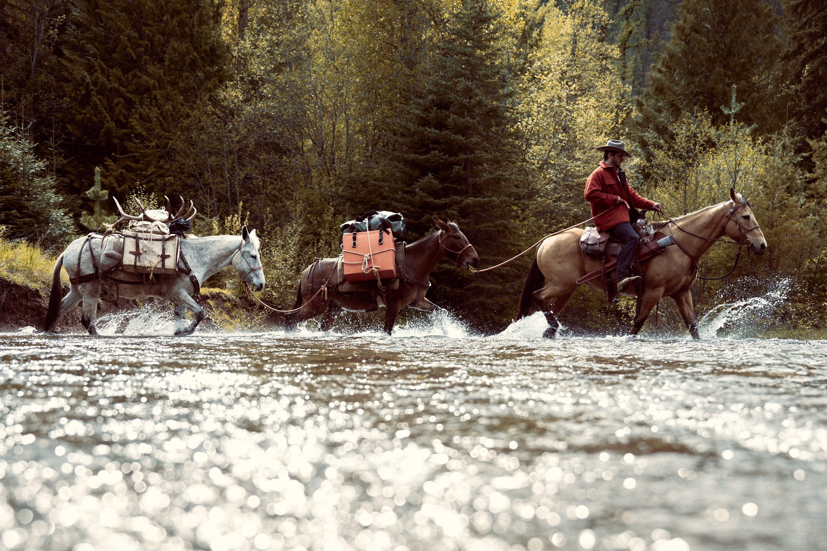 Original Alaska Outfitter - by Michael Williams