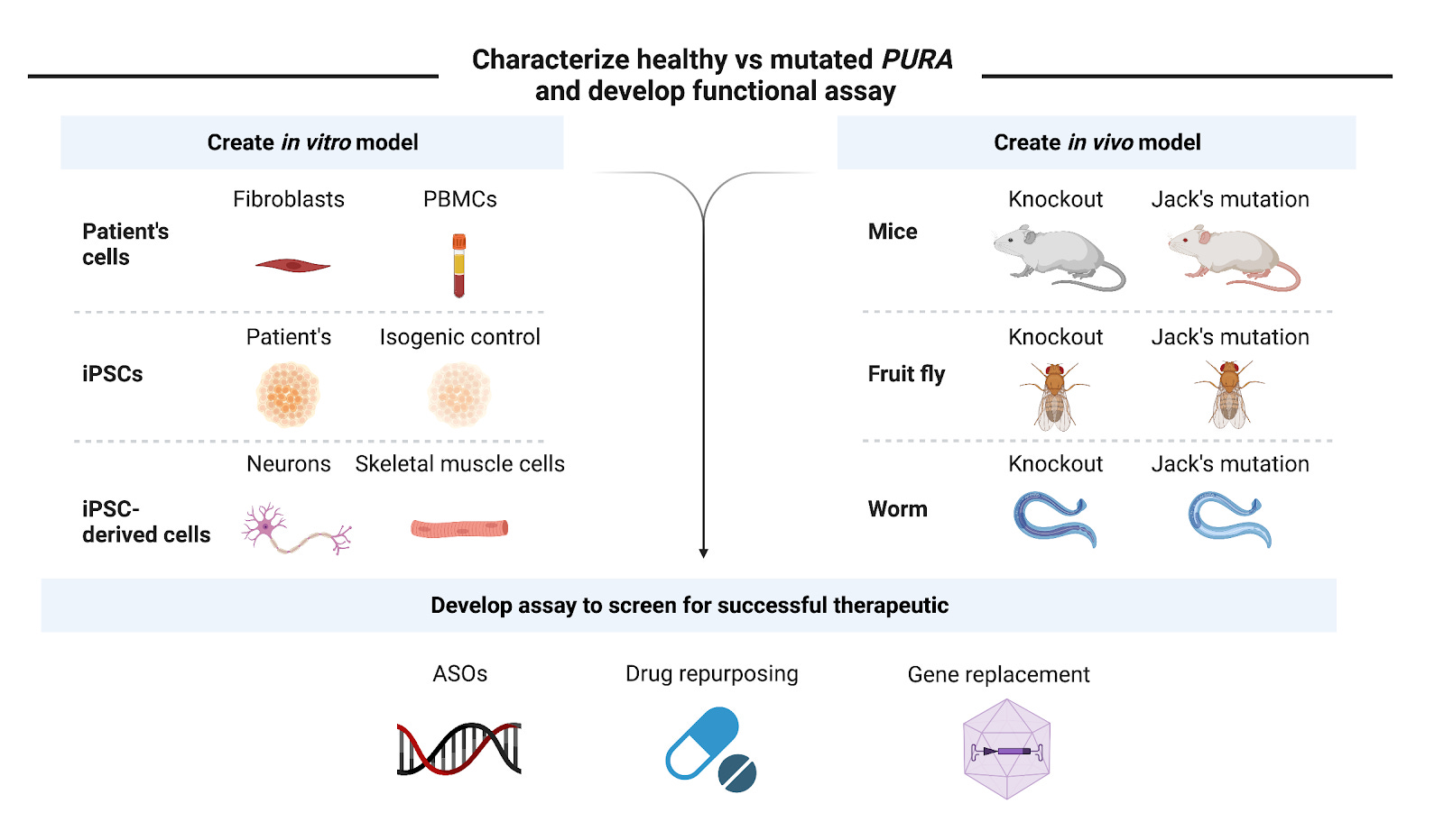 PURA Syndrome Cure Roadmap - by Ethan O. Perlstein, Ph.D.