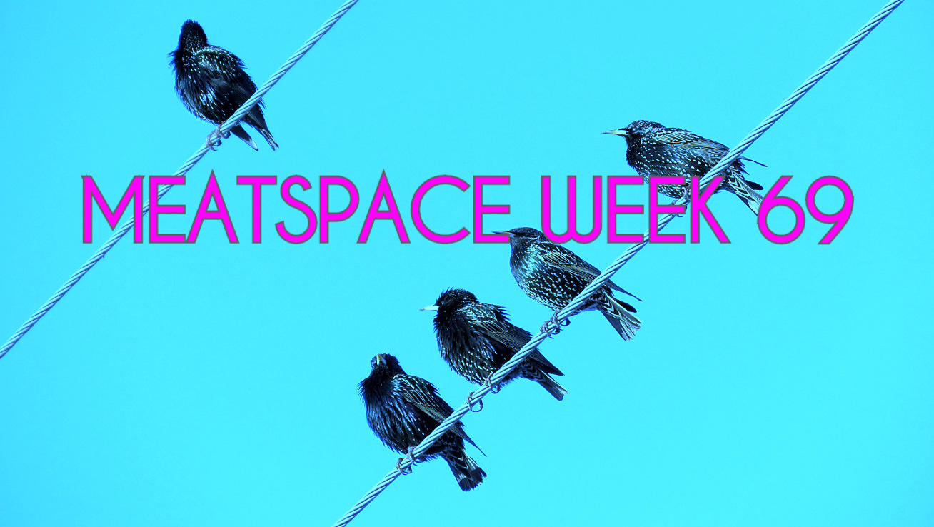 the web as we knew it - Meatspace