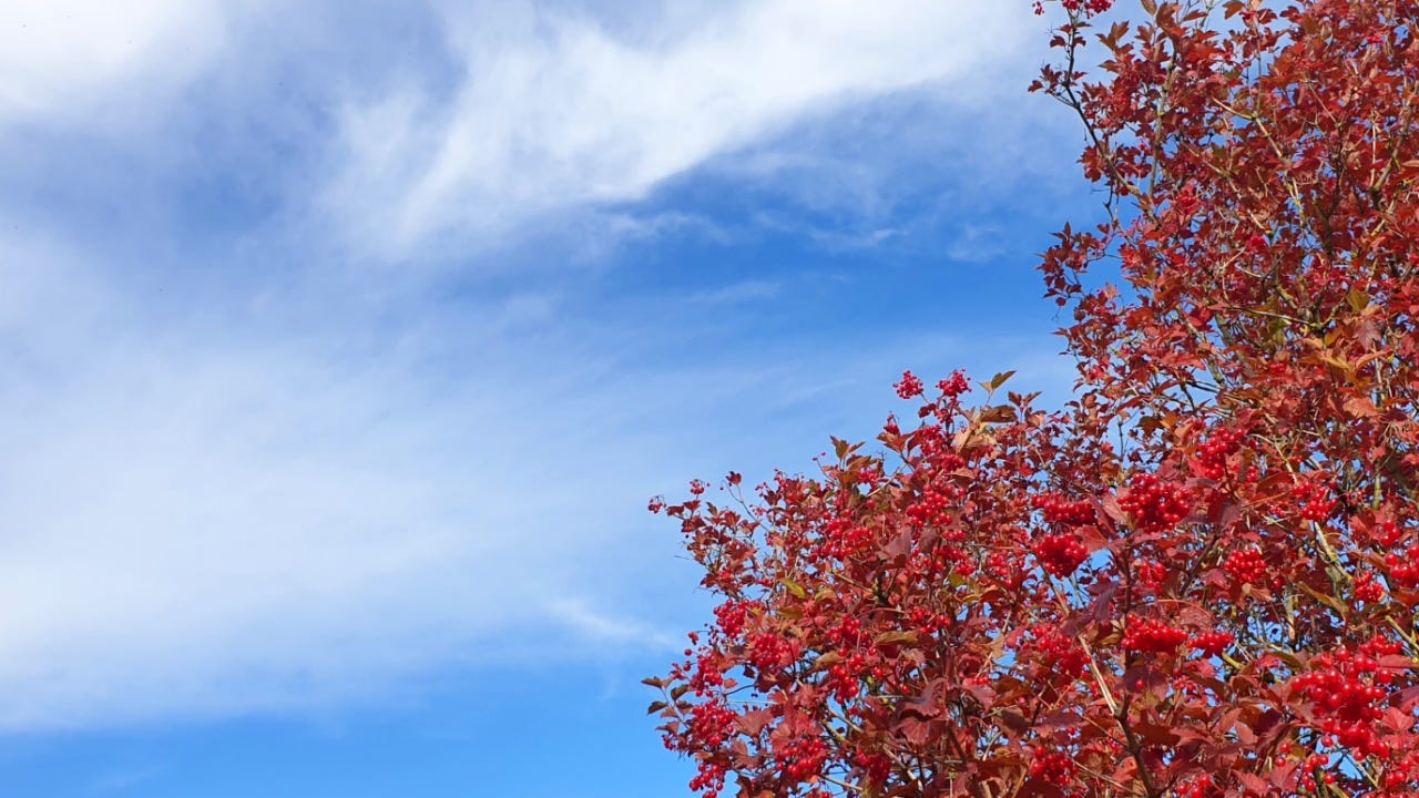 Sunday October 16, 2022 - by J. Allan Dale - Daily Thoughts