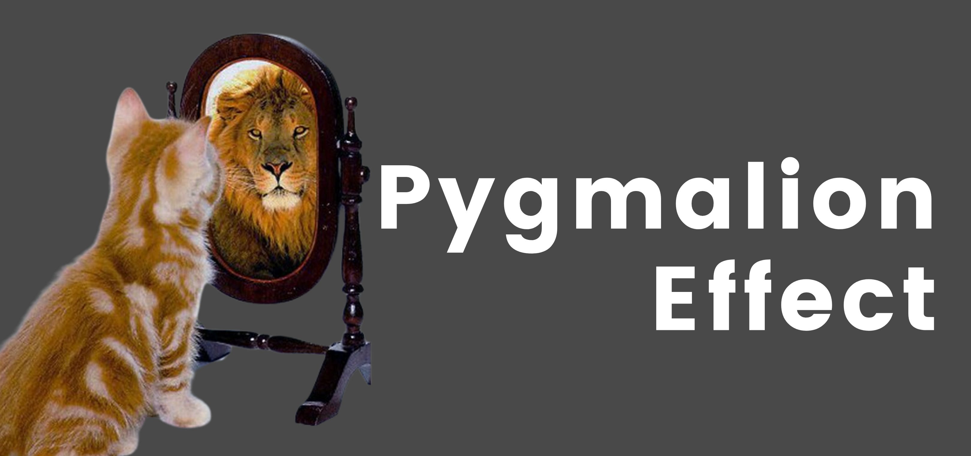 The Pygmalion Effect - 2 mins.