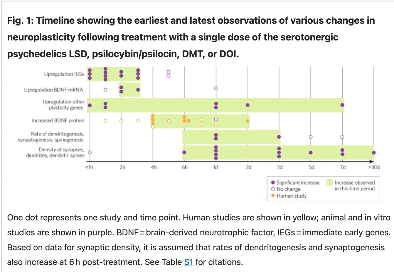 Psychedelic-Induced Neuroplasticity; Updates from the Beckley Ecosystem ...