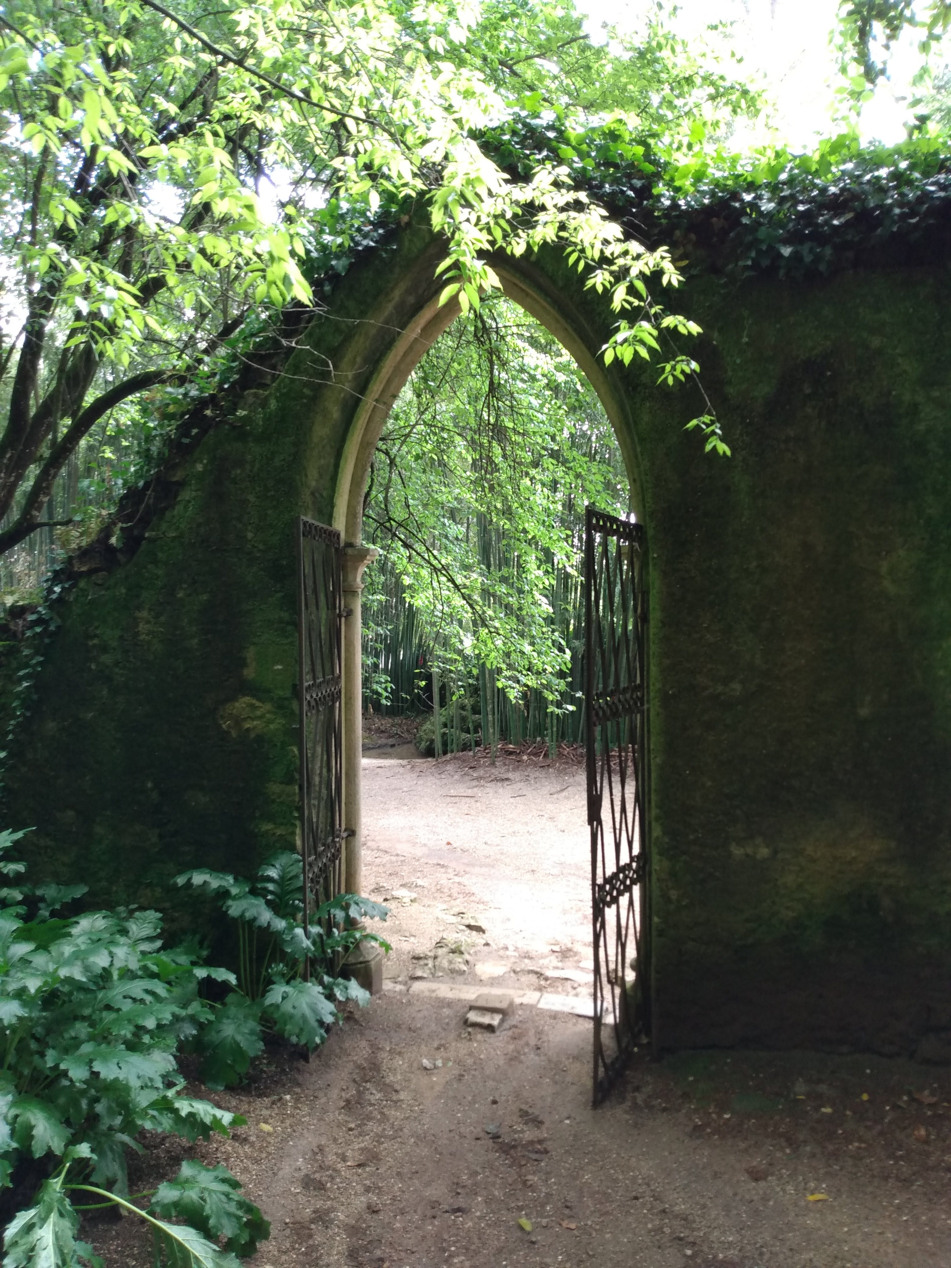 The Eternal Face of Inês de Castro - by Padraic Veum