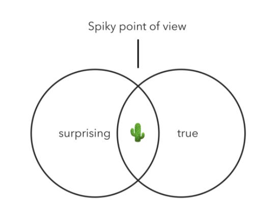 The life-changing power of a spiky point of view