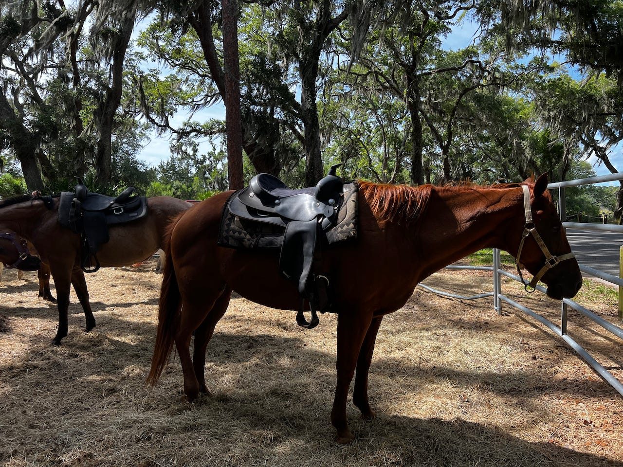 Day 1: Cruising to Jekyll Island, GA - by Gary Oster