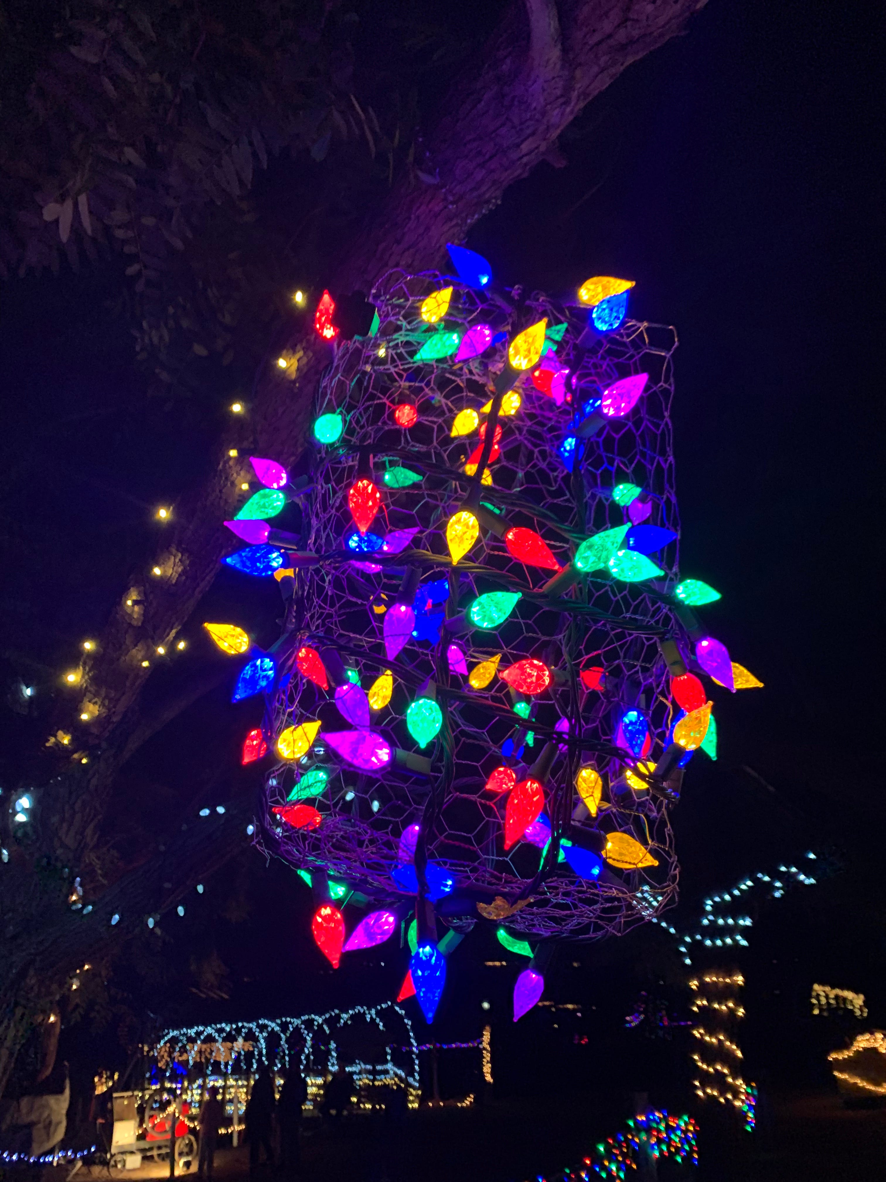 Consciousness Letter 5 - by Nathan Davila