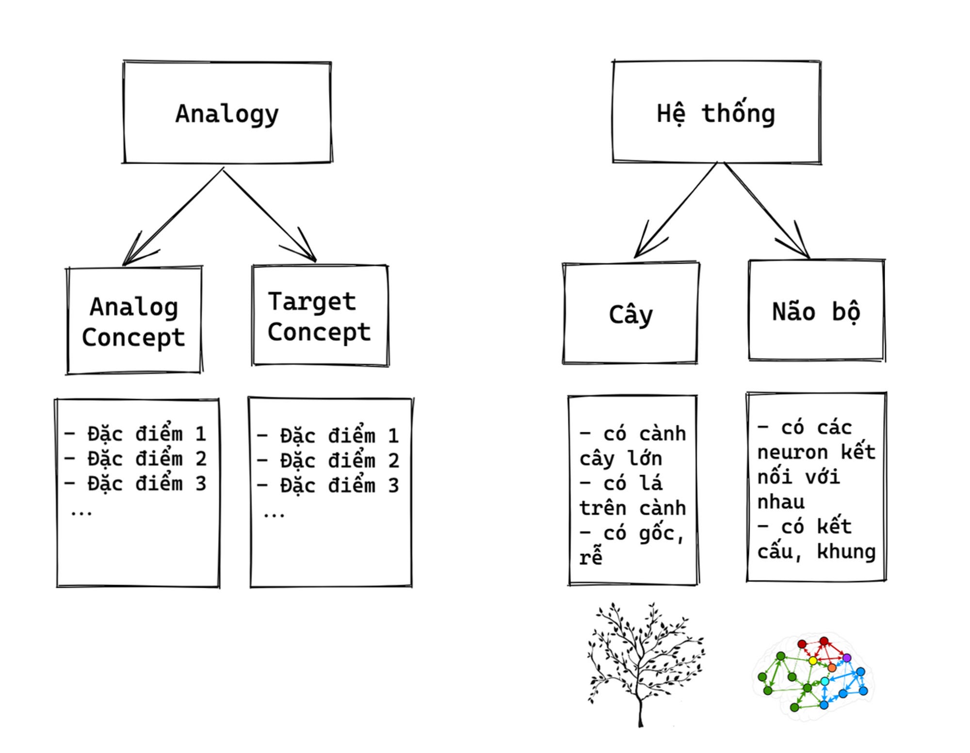 Đặc Điểm Cấu Tạo Của Ankan: Tìm Hiểu Chi Tiết Và Ứng Dụng Thực Tiễn