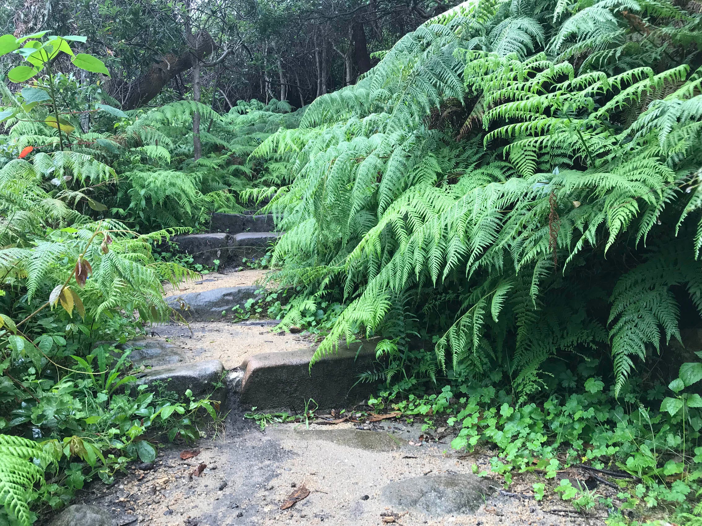 Australia Day: the fun parts - by Alison Bevege