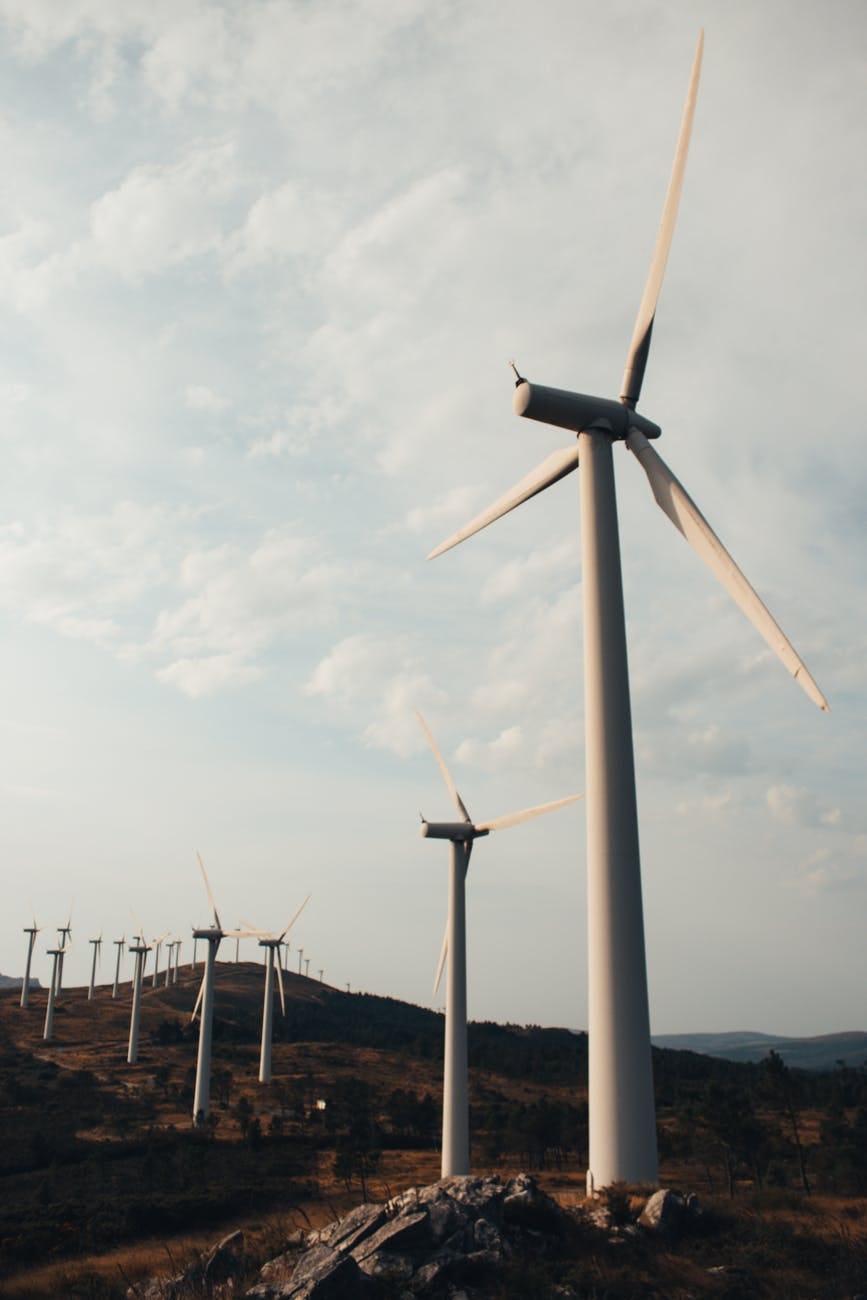 Why “Going Green” Is So Important for Businesses