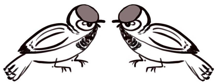 The Sparrows, the Storm, and the Semul Tree