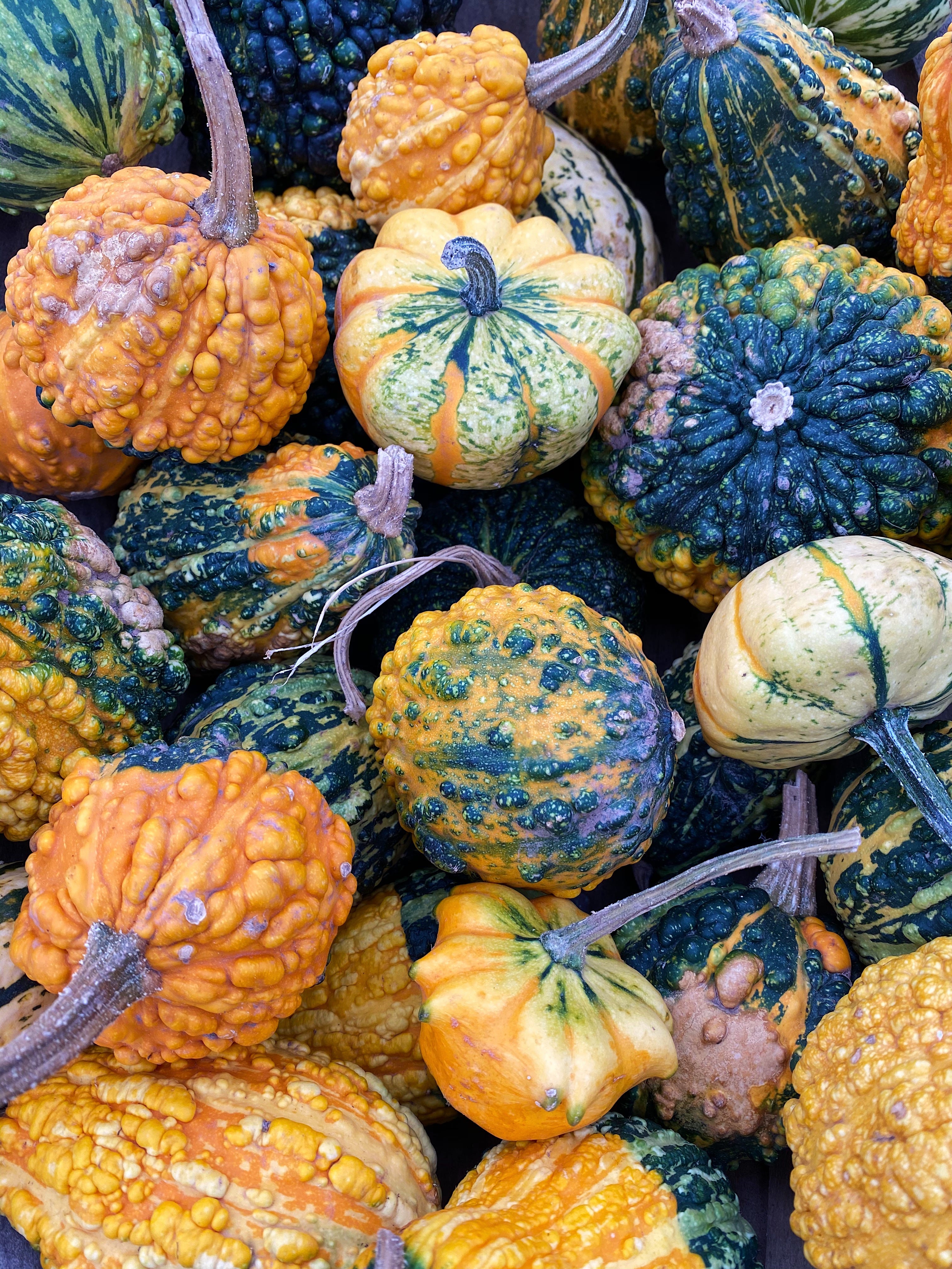 October - by Florence Blair - bits & bobs